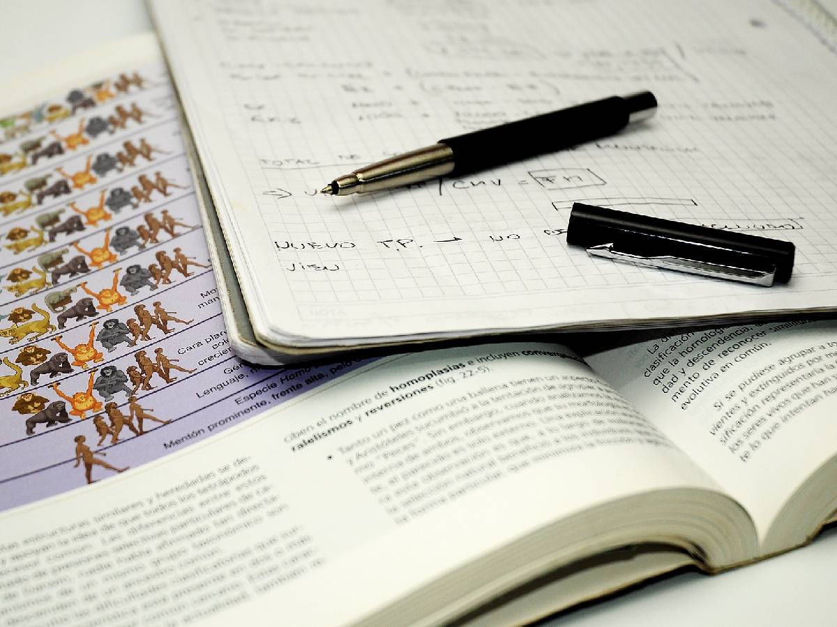 IIM CAT Admit Card Released: Here’s How To Download and Check Latest ...